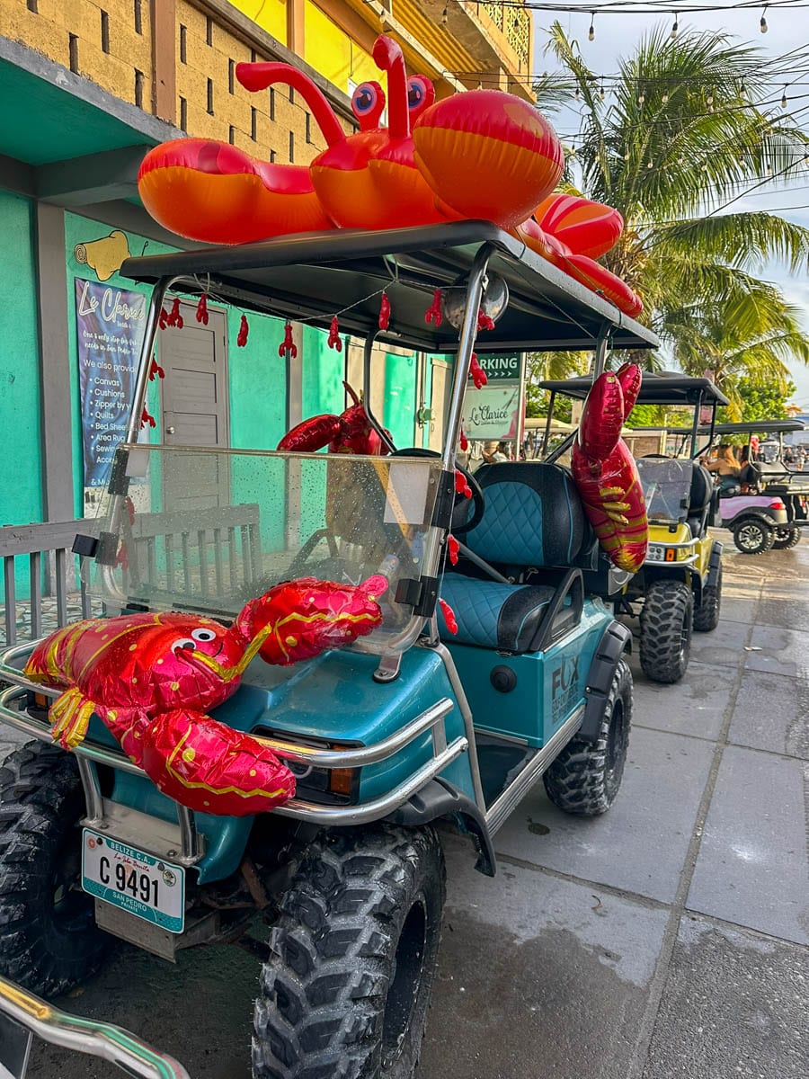 July 2026: Lobster Season AND Festival, Weather, Sargassum, What to ...